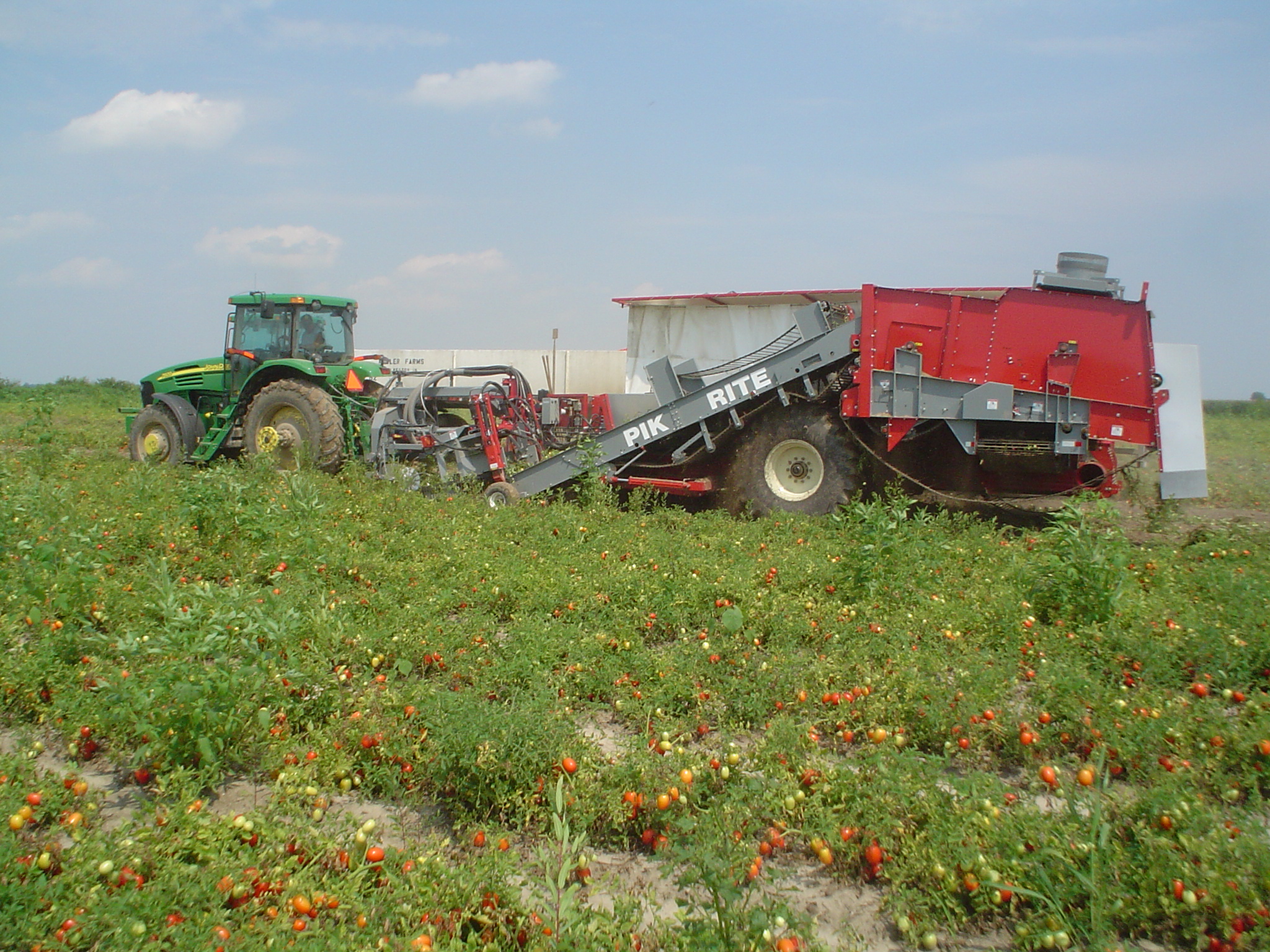 190 Tomato Harvester-3 - Pik Rite