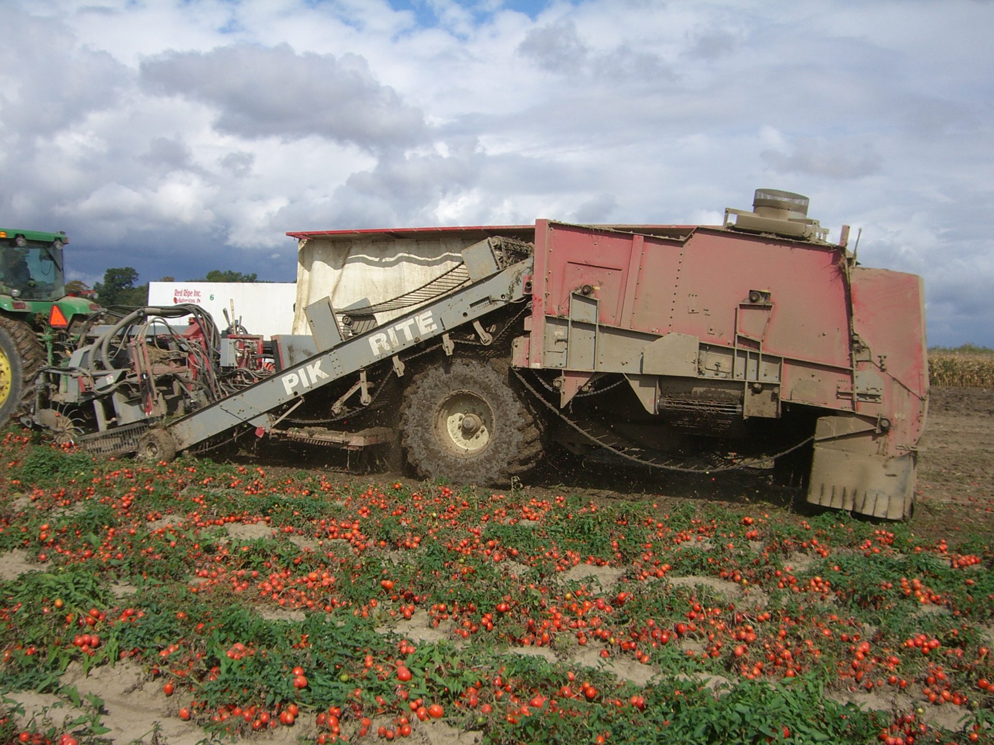 190 Tomato Harvester-4 - Pik Rite