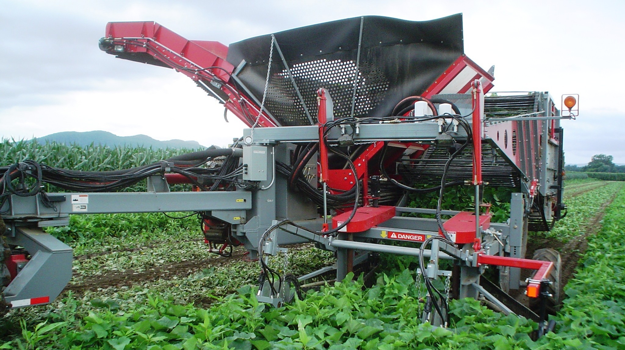 3100 Cucumber Harvester - Pik Rite