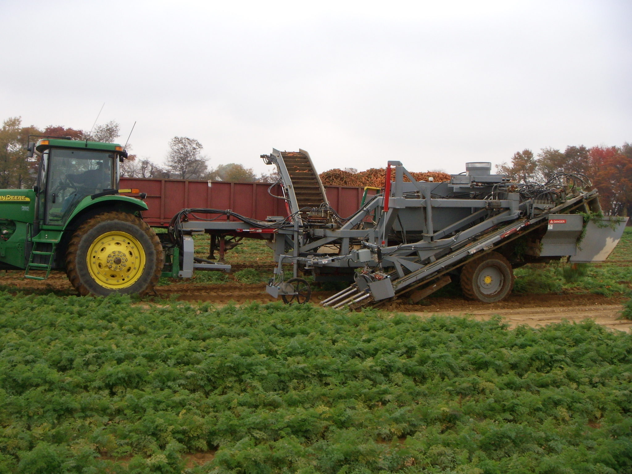 8020 Carrot Harvester - Pik Rite