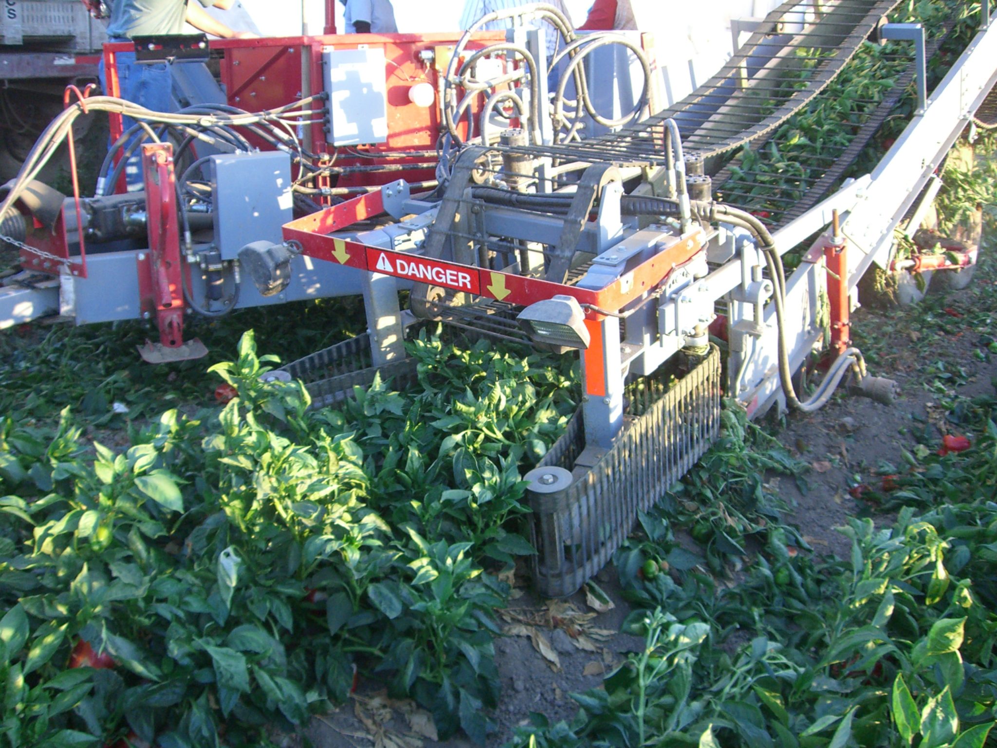 Bell Pepper Harvester-4 - Pik Rite