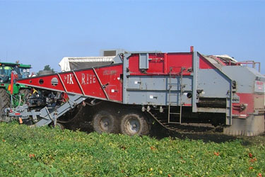 pik-rite-hc290-tomato-harvester - Pik Rite
