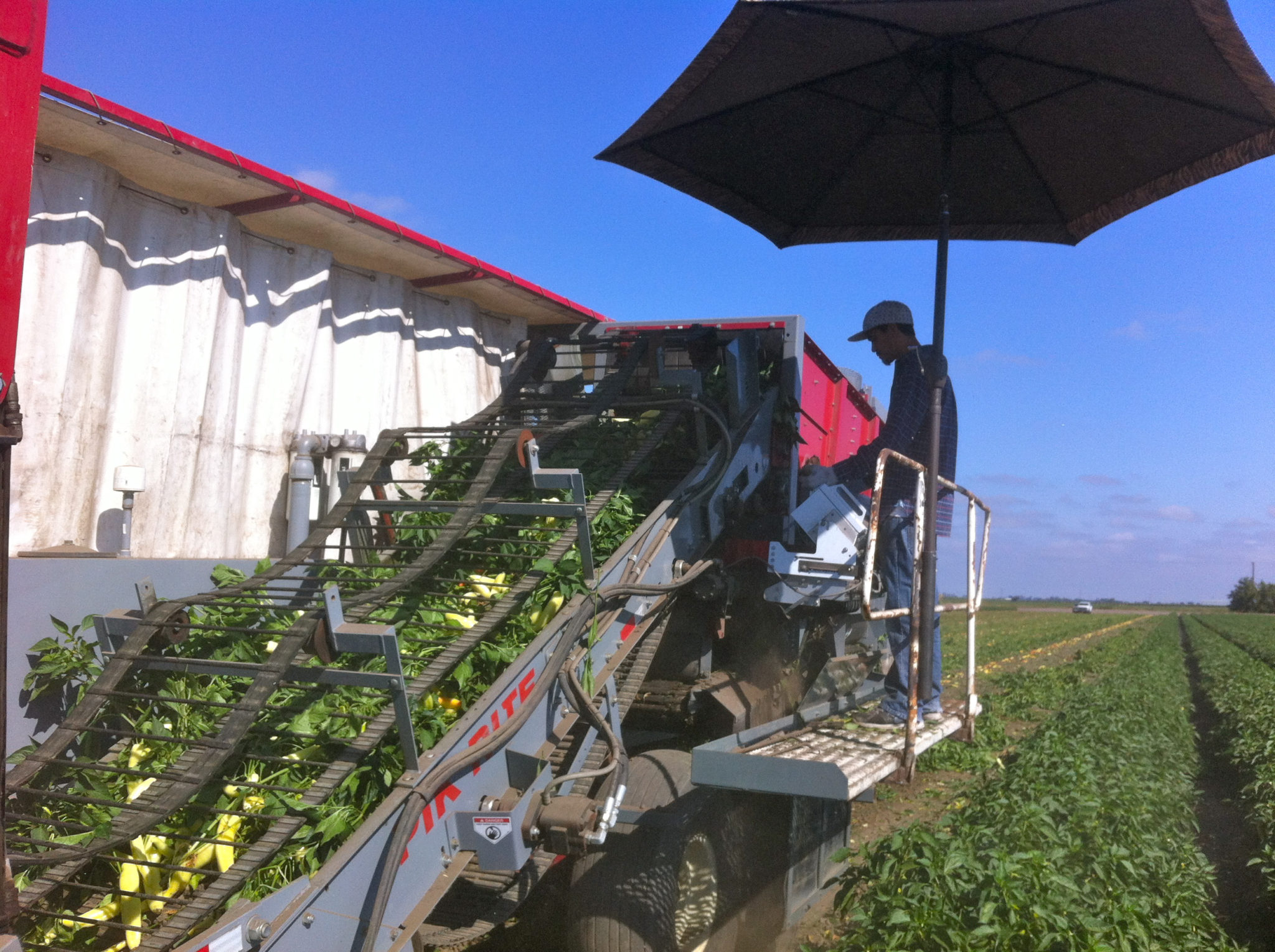 PEPPER HARVESTER - Pik Rite